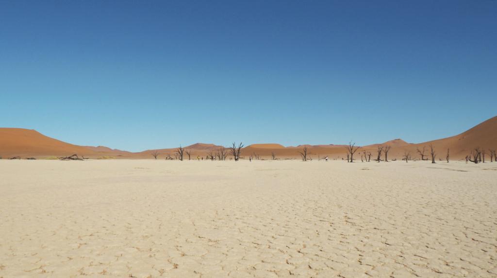 A Guide To The Namib Desert | We Are Nomads
