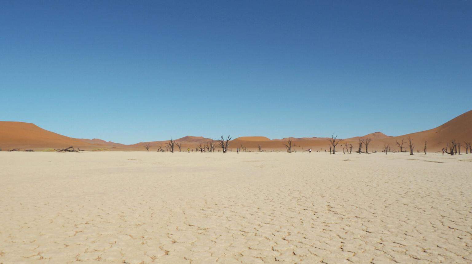 A Guide To The Namib Desert | We Are Nomads