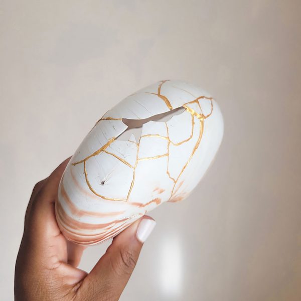 Kintsugi Repair of a Nautilus Shell | We Are Nomads